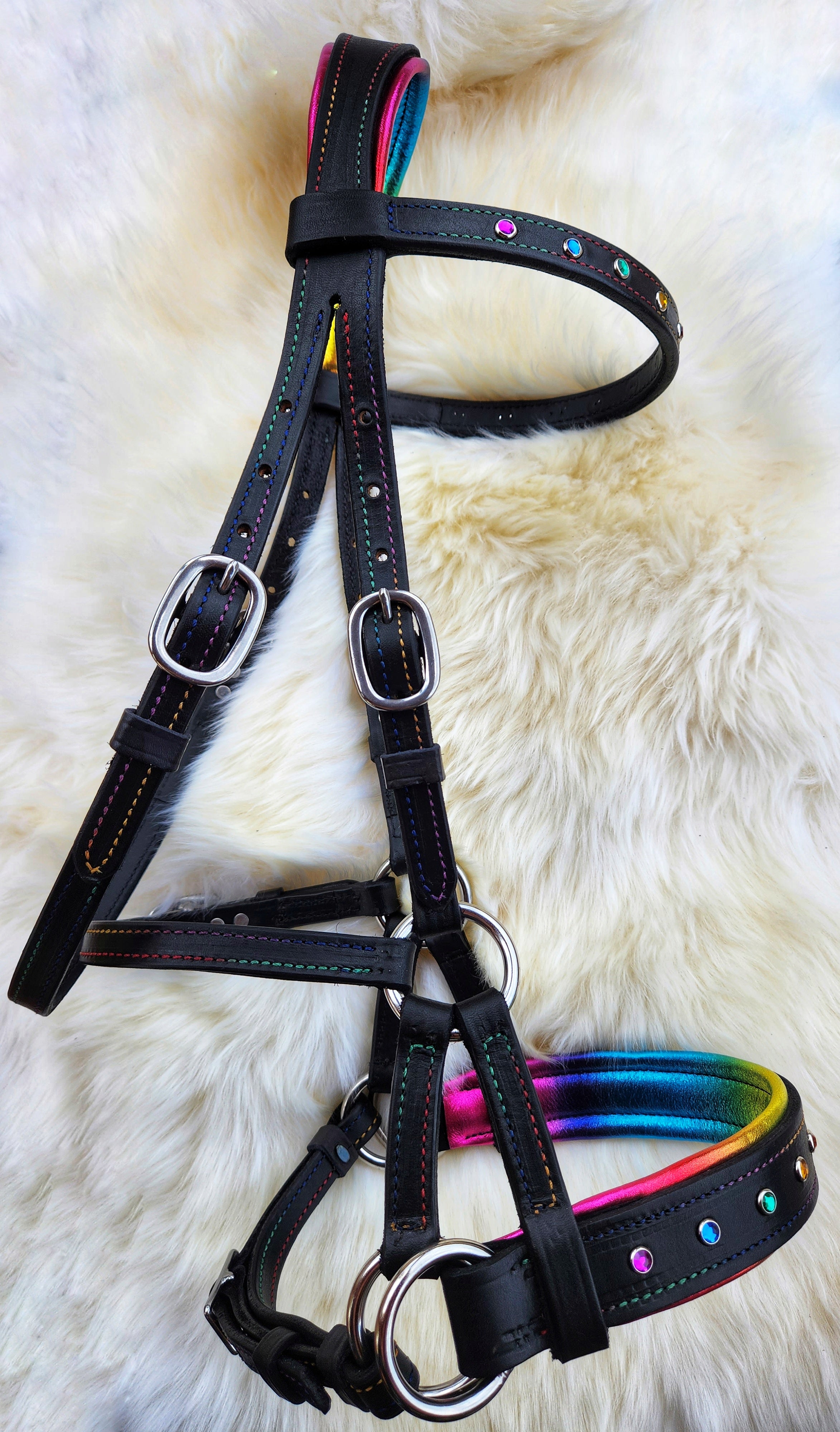 Rainbow padded bitless sidepull bridle – Royal Legacy Custom Leather