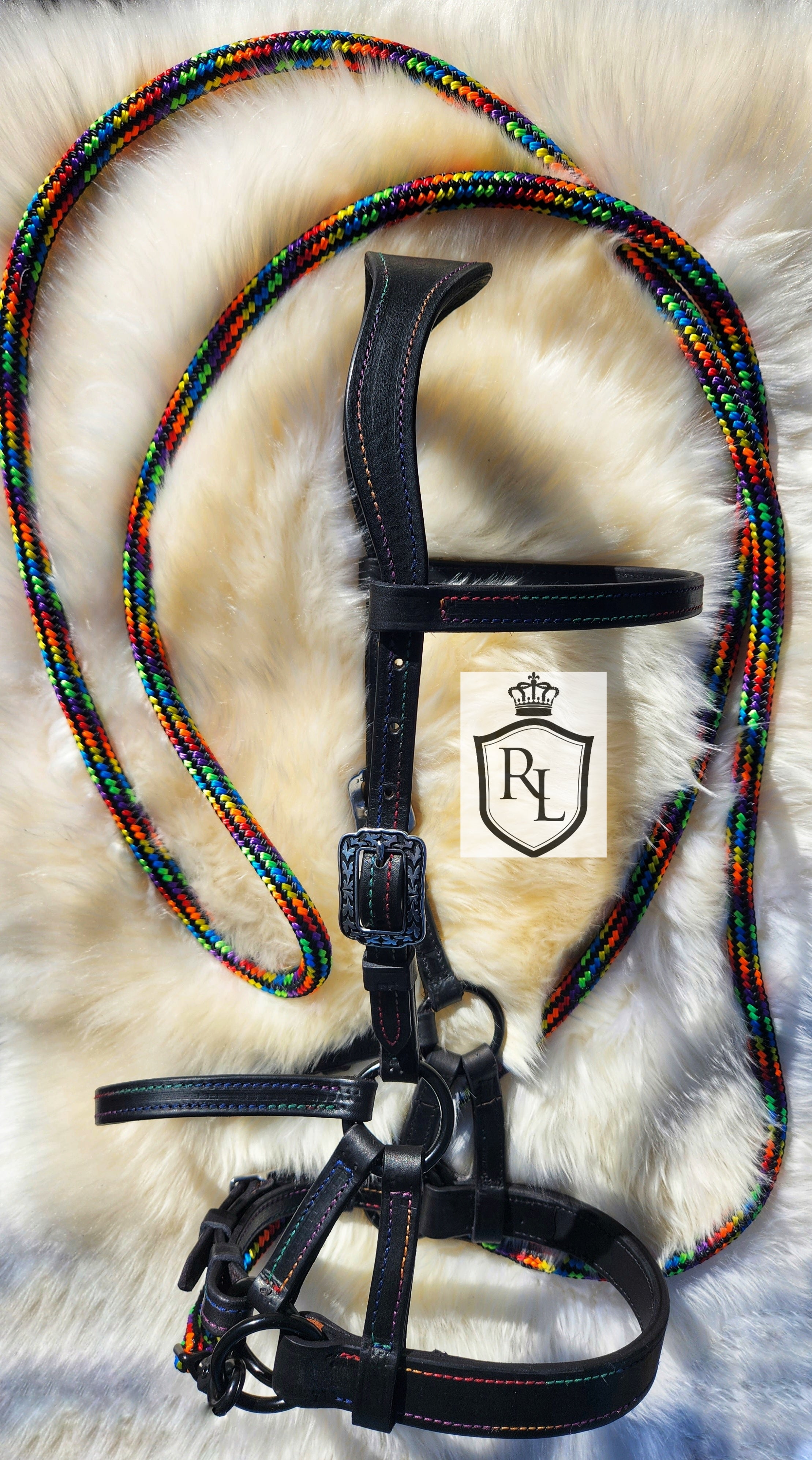 Rainbow sidepull bridle set – Royal Legacy Custom Leather