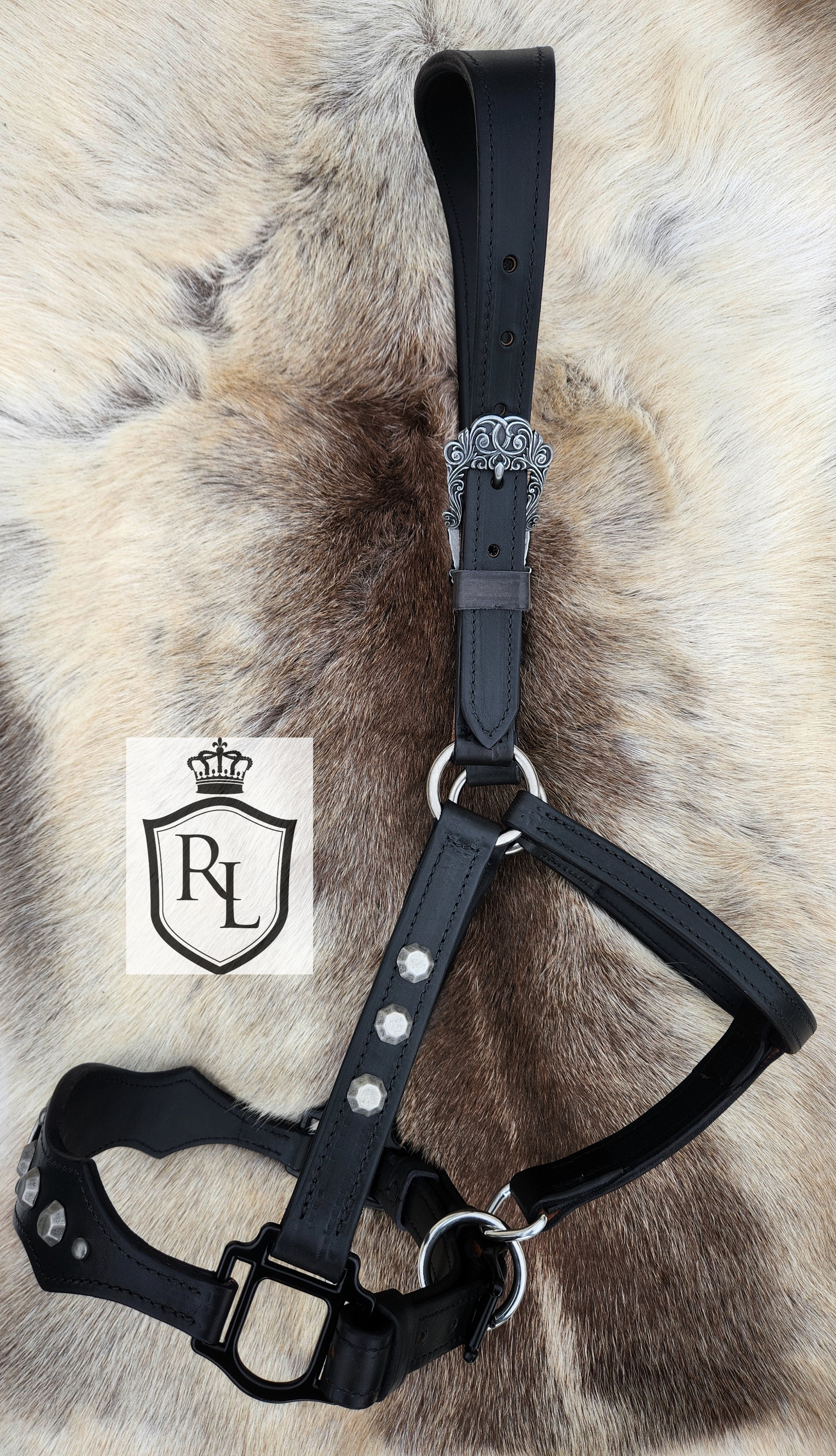 Dragon halter – Royal Legacy Custom Leather