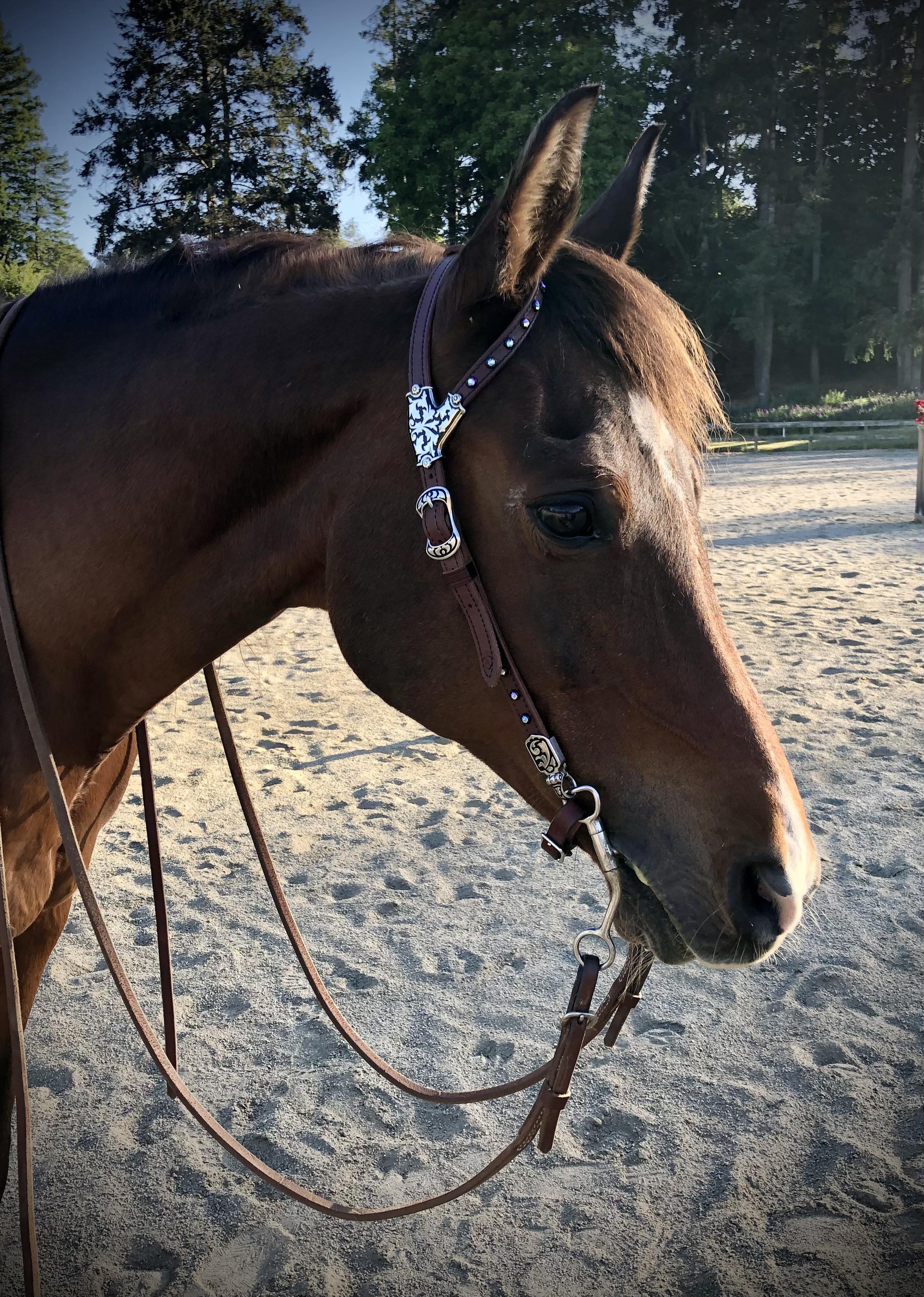 Rhinestone slide ear with ear plate – Royal Legacy Custom Leather