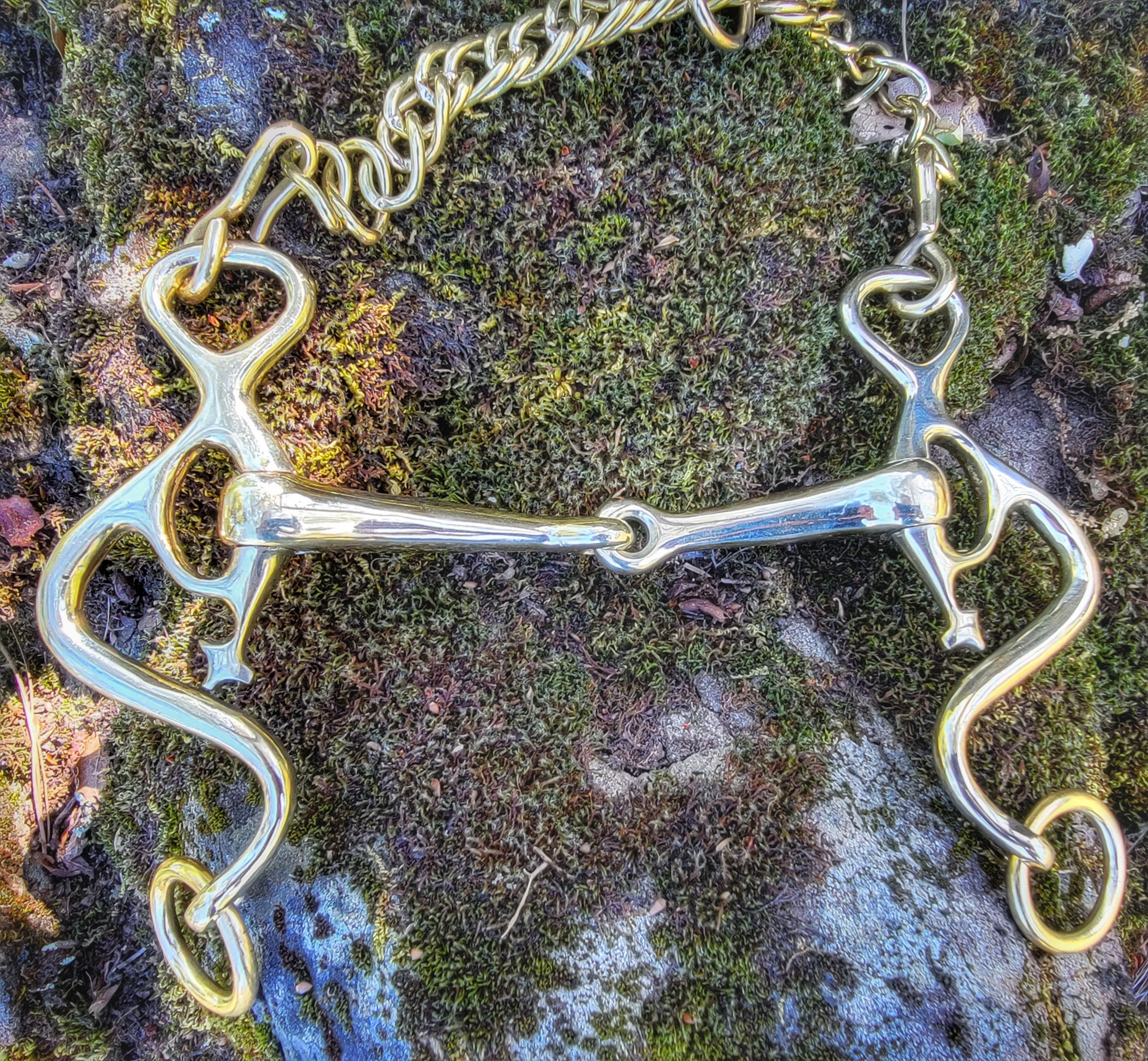 Baroque shank bit with snaffle mouthpiece – Royal Legacy Custom Leather