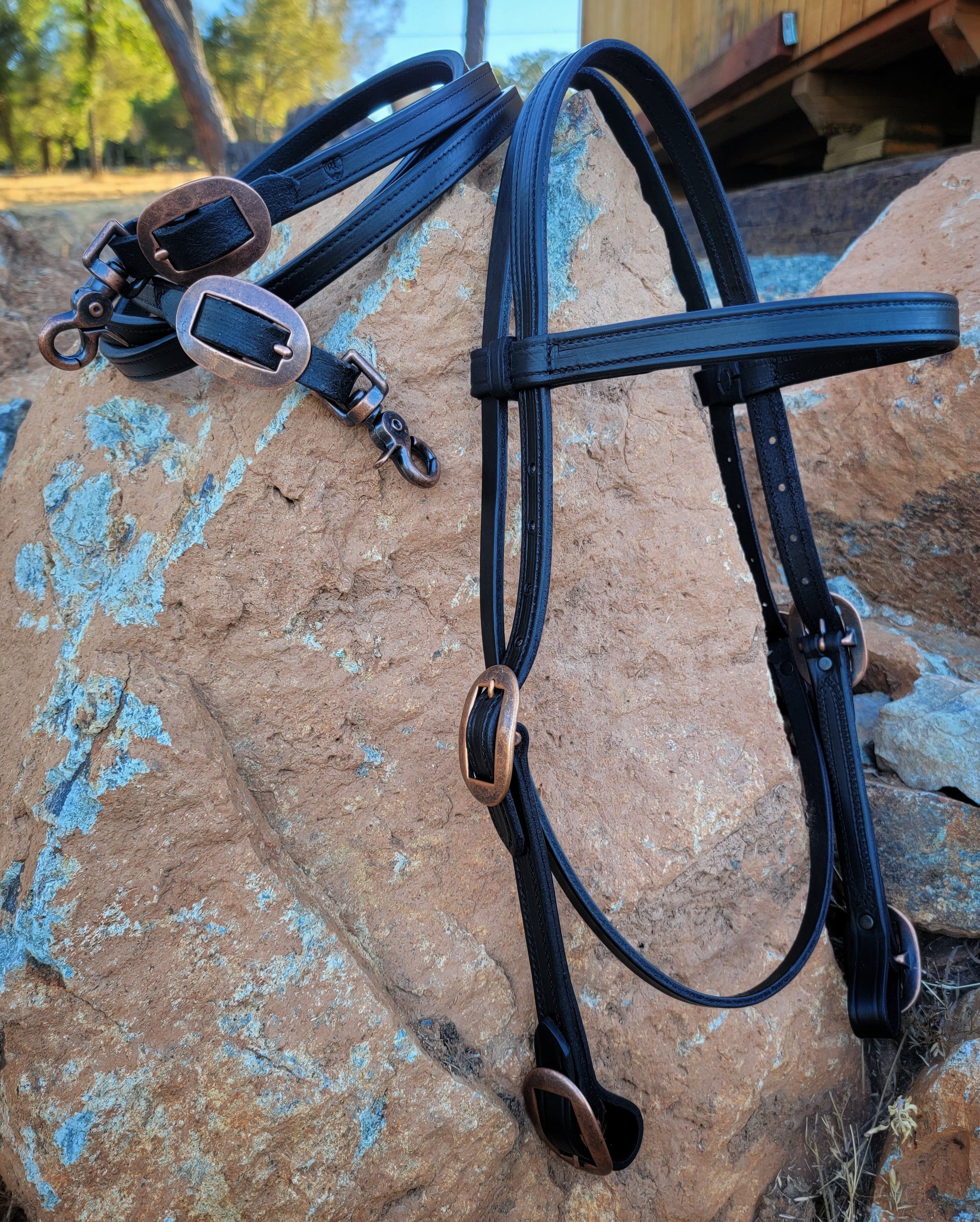 Black bit bridle and Loop Rein set – Royal Legacy Custom Leather