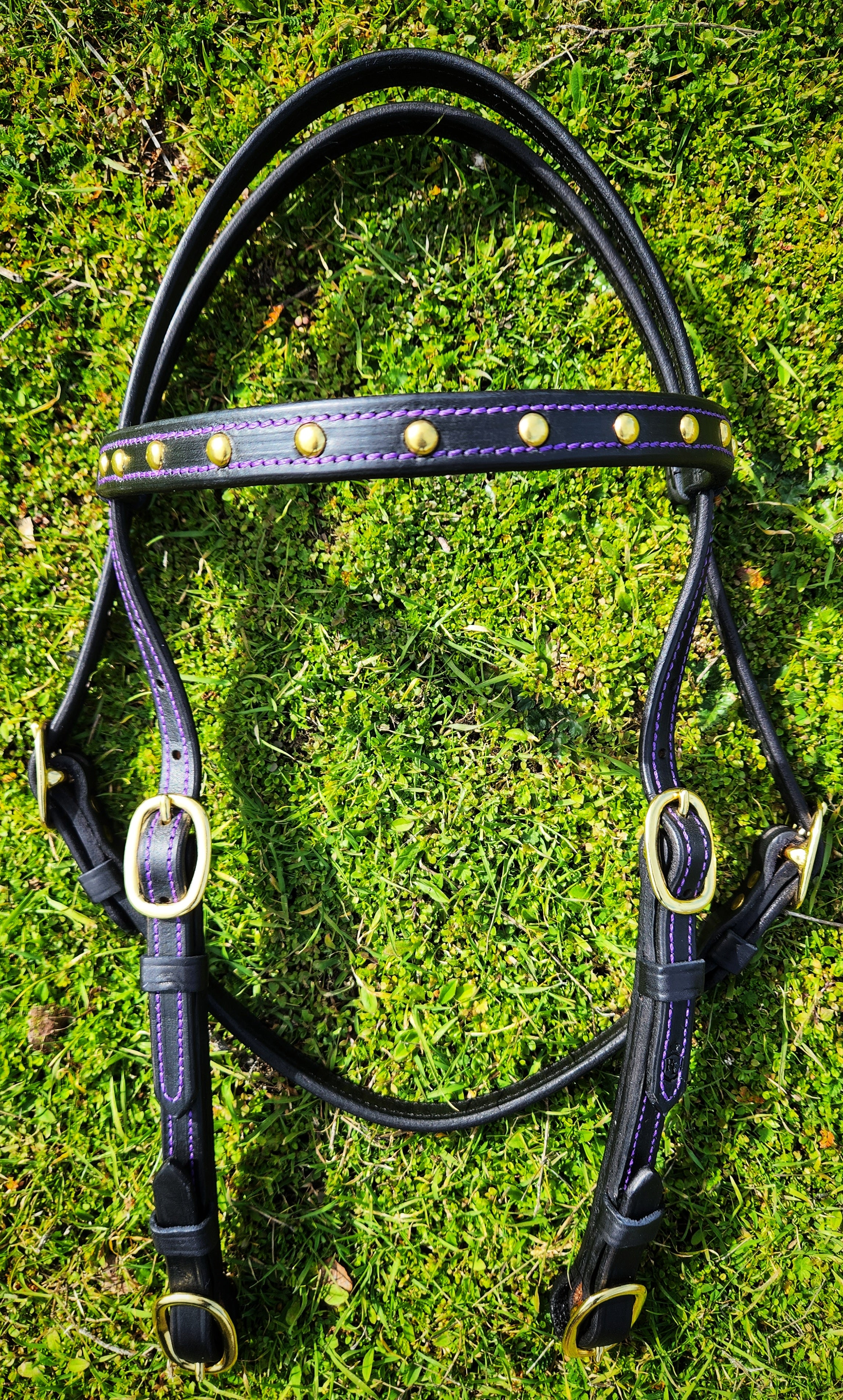 Training Bit Bridle set in Purple – Royal Legacy Custom Leather