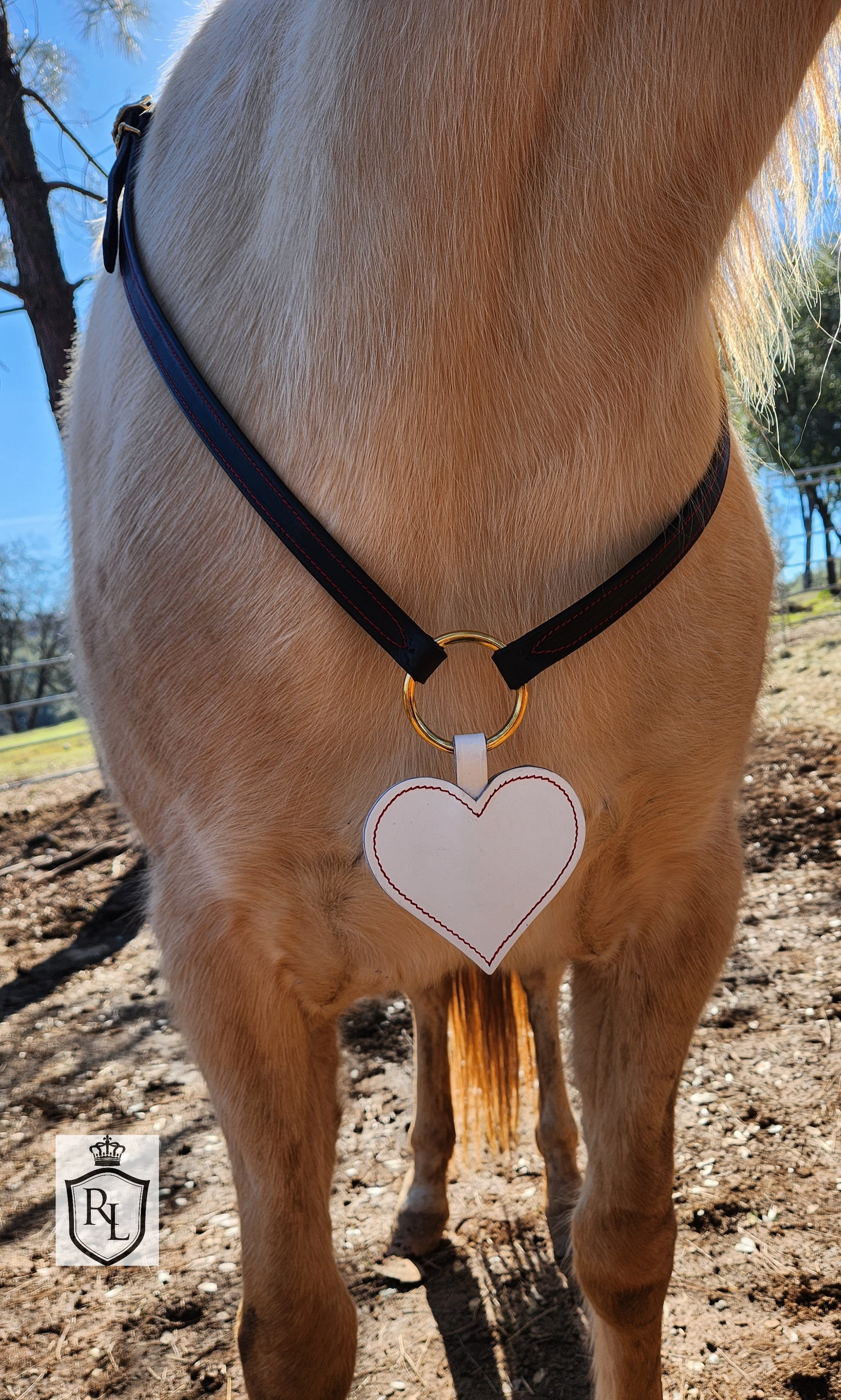 Heart pendant Cordeo (neckrope) – Royal Legacy Custom Leather